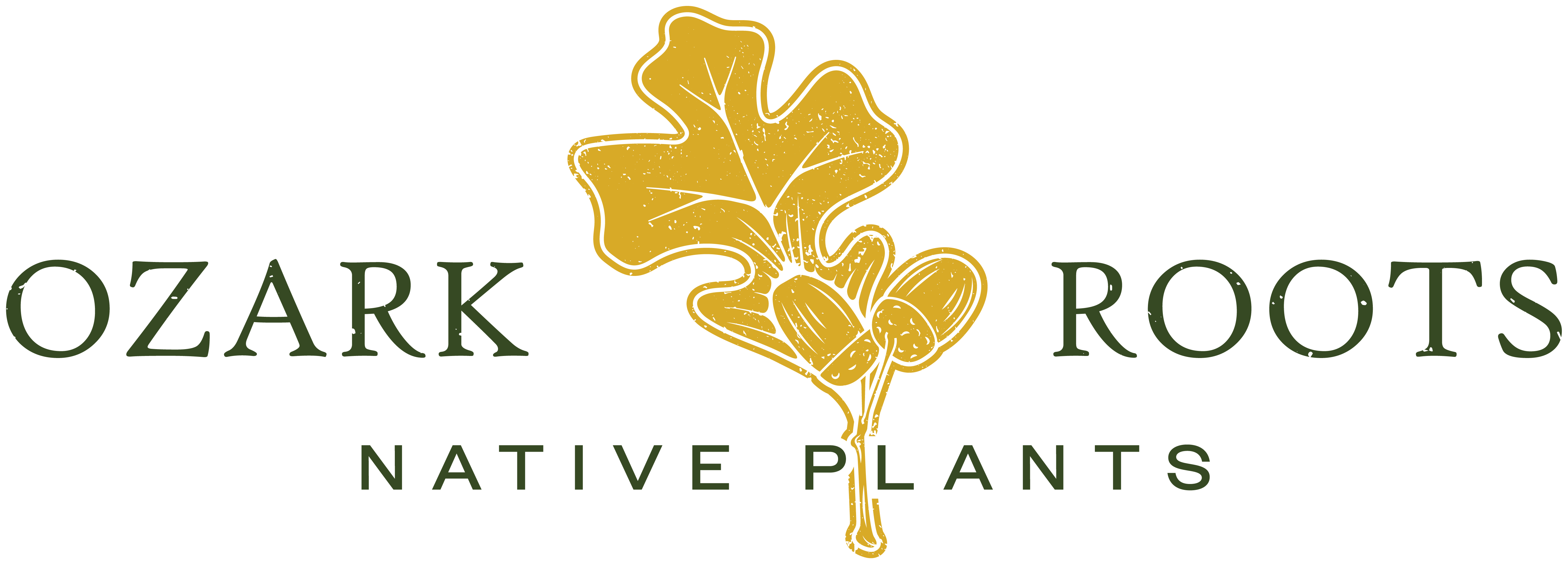 OZARK SOUL | Regional Native Plant Producer
